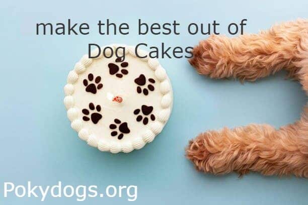5 Amazing Tricks: To Get The Most Out Of Your Dog Cake - PokyDogs