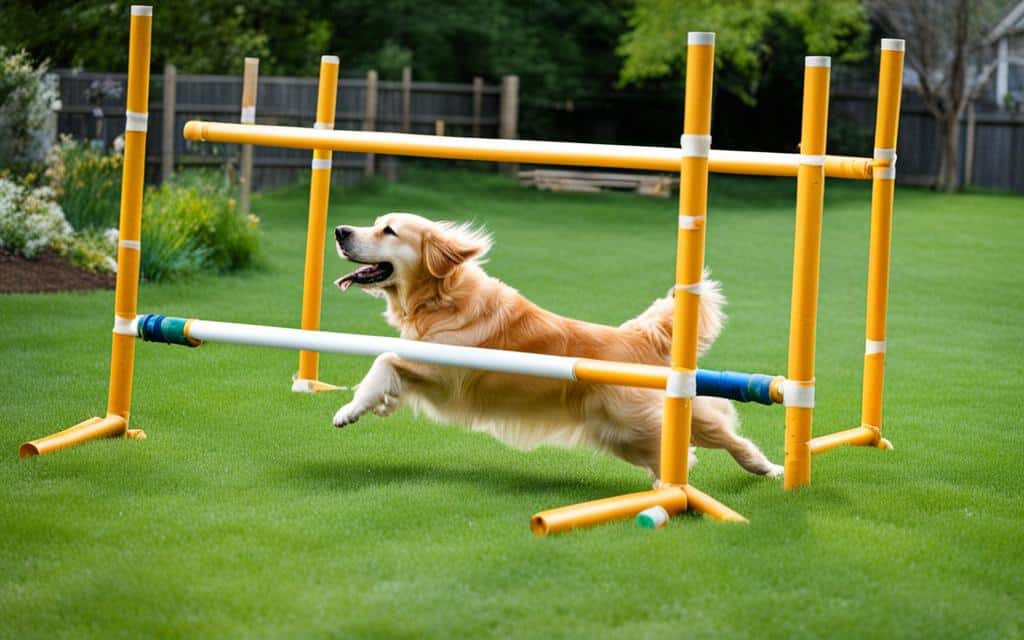 Homemade Canine Gadgets: DIY Training Equipment for Your Dog